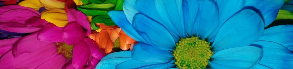 Stormie | Minted Models