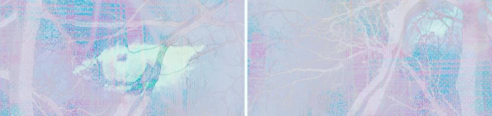 Marie Elena | Minted Models